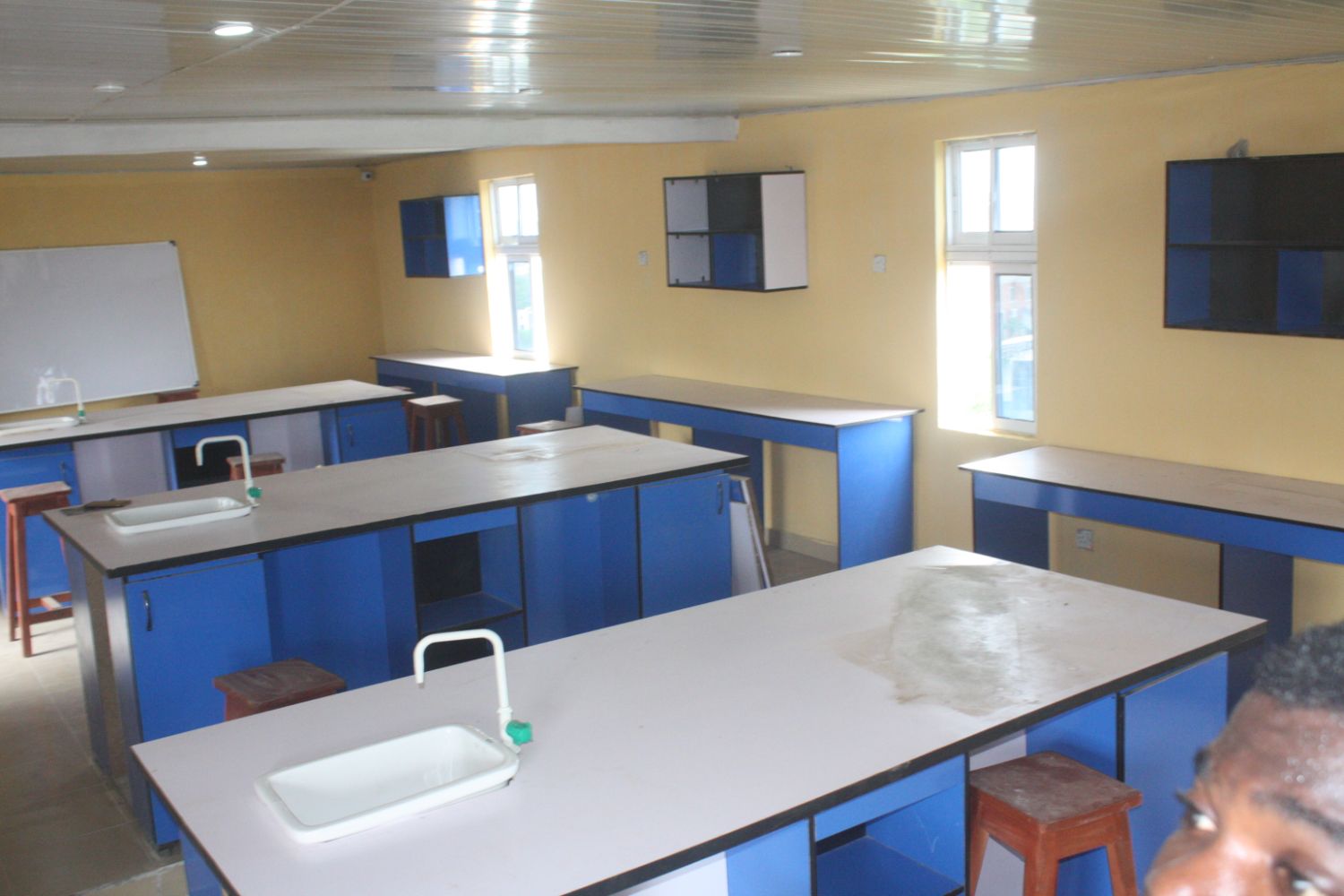 Gallery | Apex Olive College