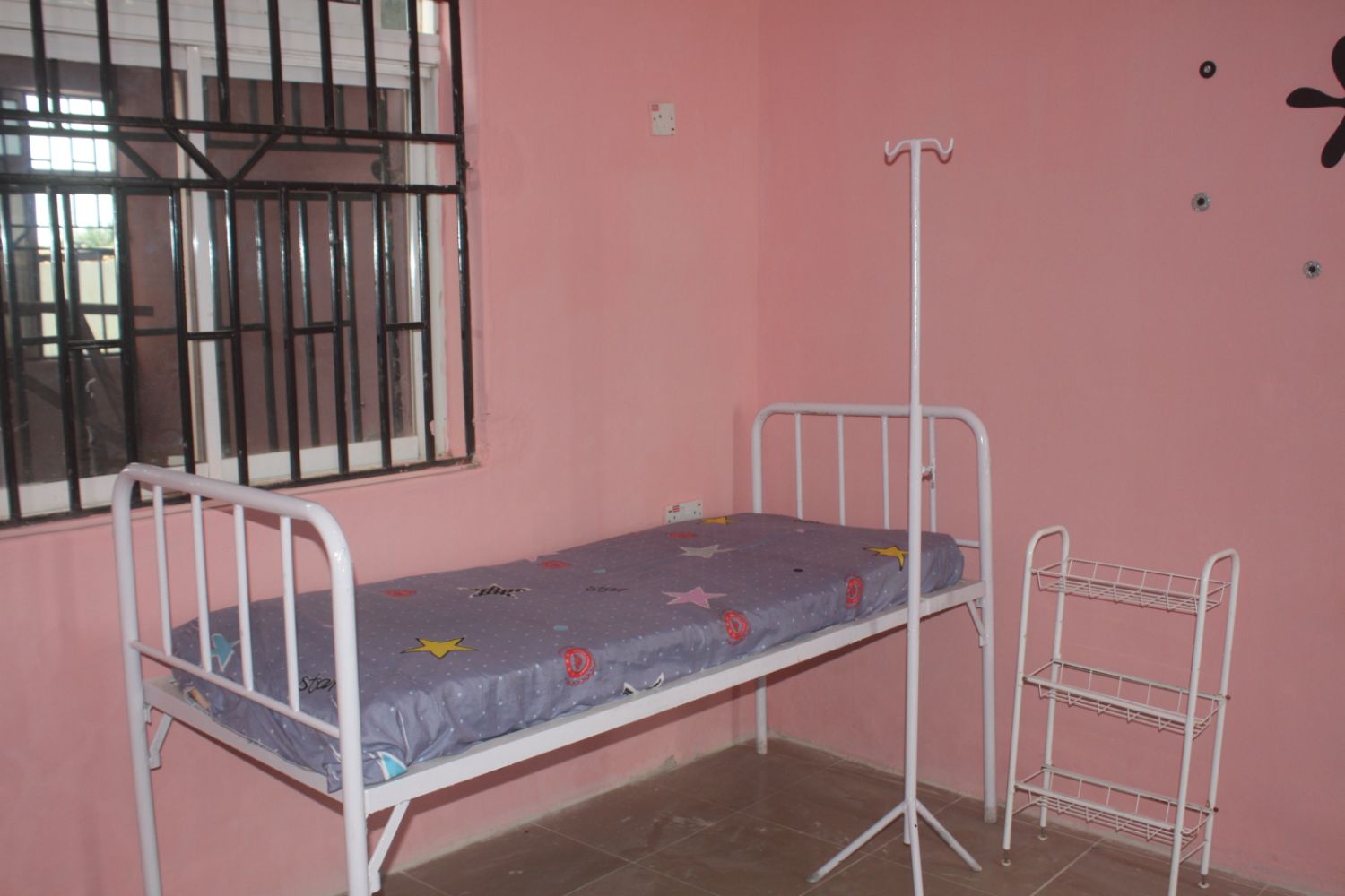 Gallery | Apex Olive College