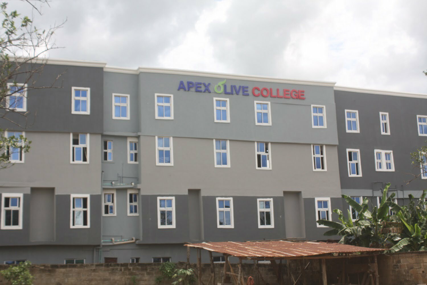 Gallery | Apex Olive College