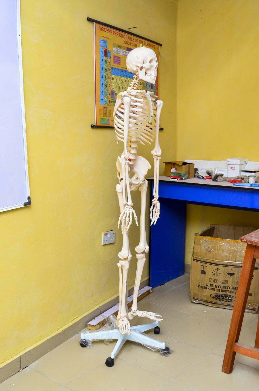 Gallery | Apex Olive College