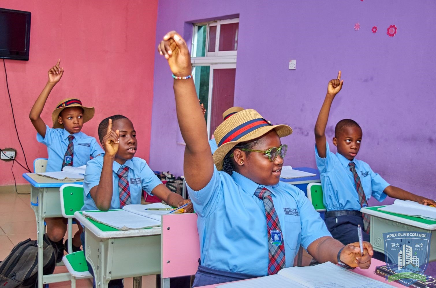 gallery – Apex Olive College