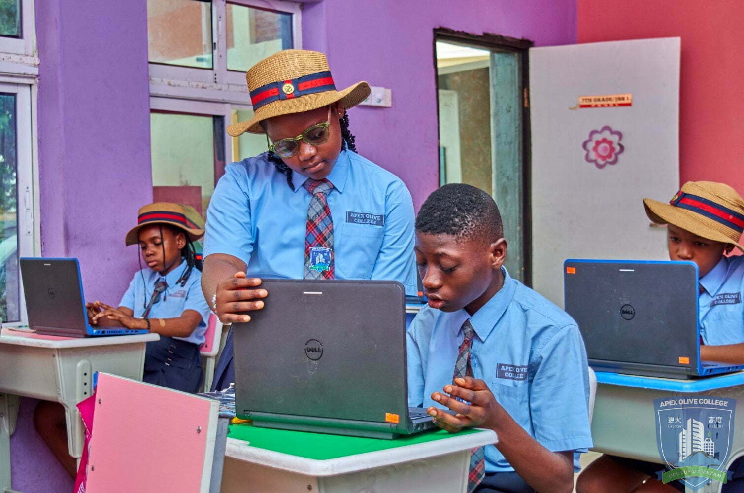 gallery – Apex Olive College