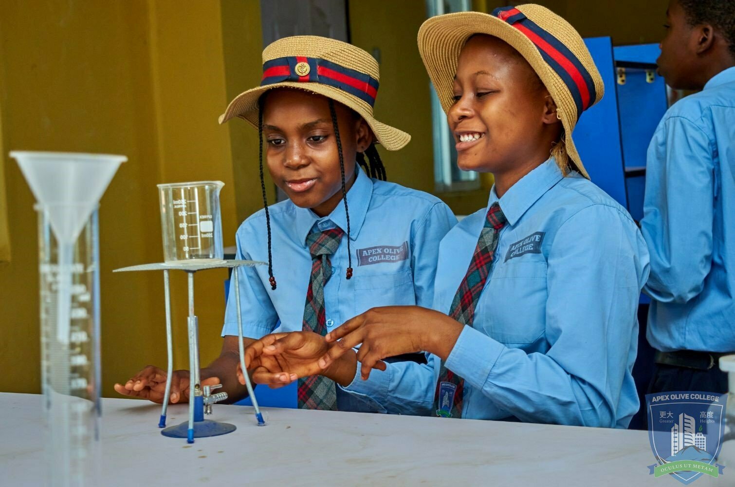 gallery – Apex Olive College