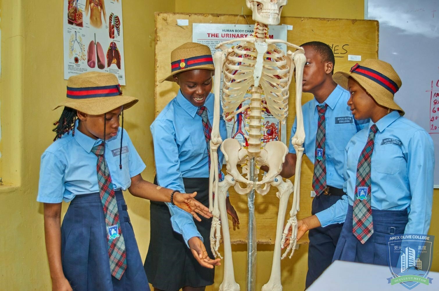 gallery – Apex Olive College